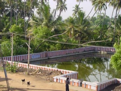 கந்த சஷ்டி விழாக்காணும் குமார வயலூர் திருக்கோயில் Kandha Sashti ...